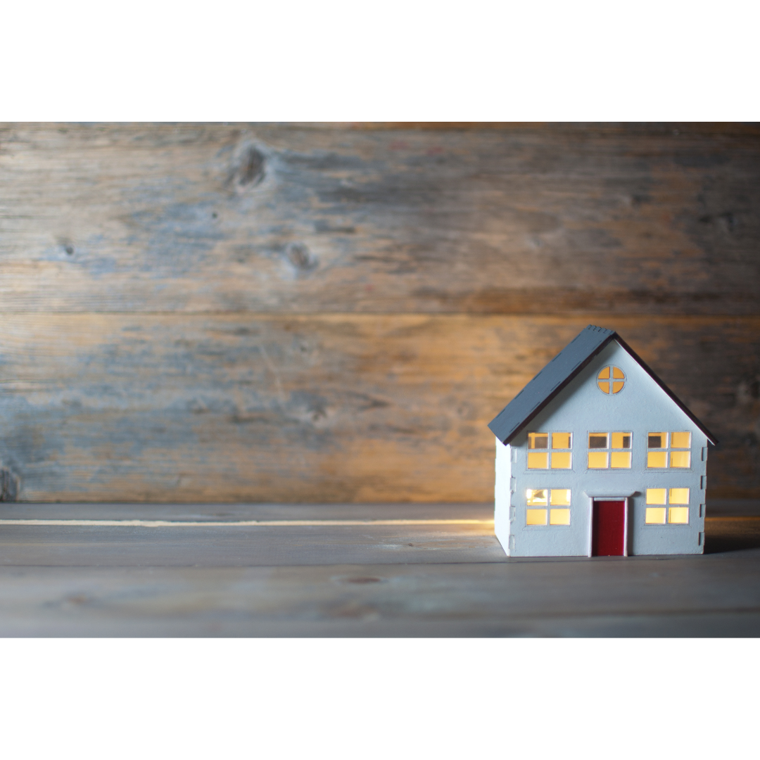 Services - Pest Solutions Dublin